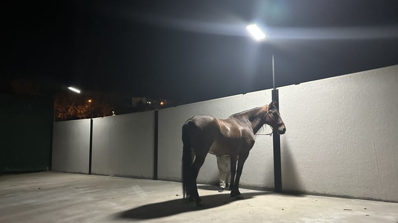 Maxfer - Lighting v2 - Maxfer